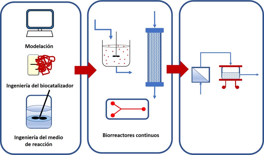 Intensificación e integración de bioprocesos – Nadia Guajardo